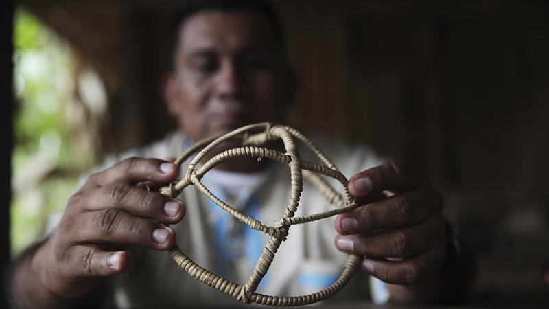 The "Naso Region" Of Protected Palo Seco Forest Between Bocas del Toro ...