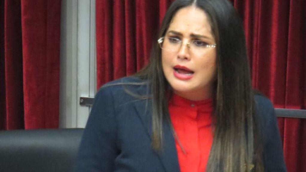 Deputy Zulay Rodriguez (Vice President of the Assembly) Labeled A ...