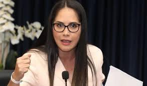 Deputy Zulay Rodriguez (Vice President of the Assembly) Labeled A ...